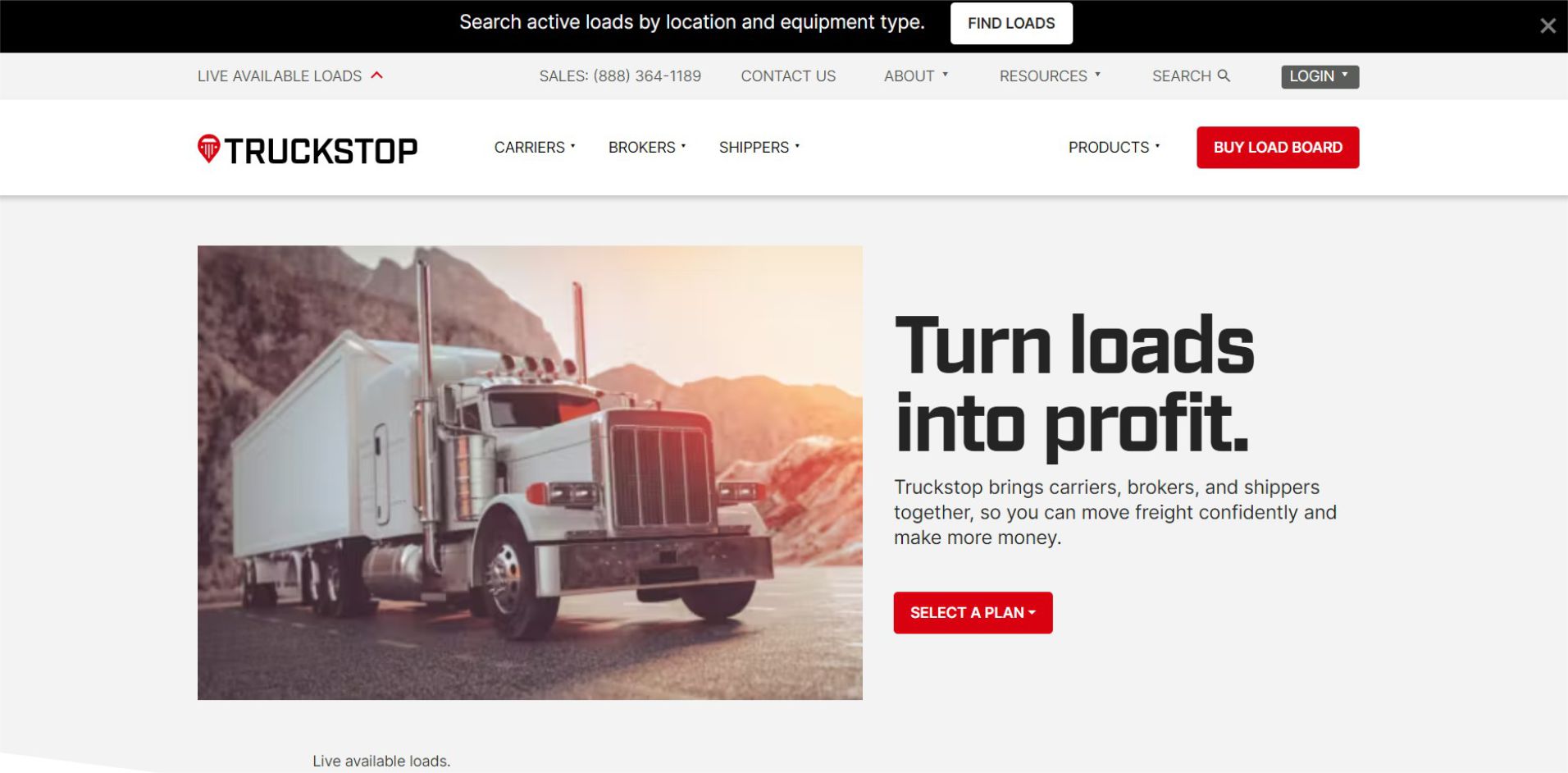 DAT Load Board vs Truckstop - Loads Kiwi